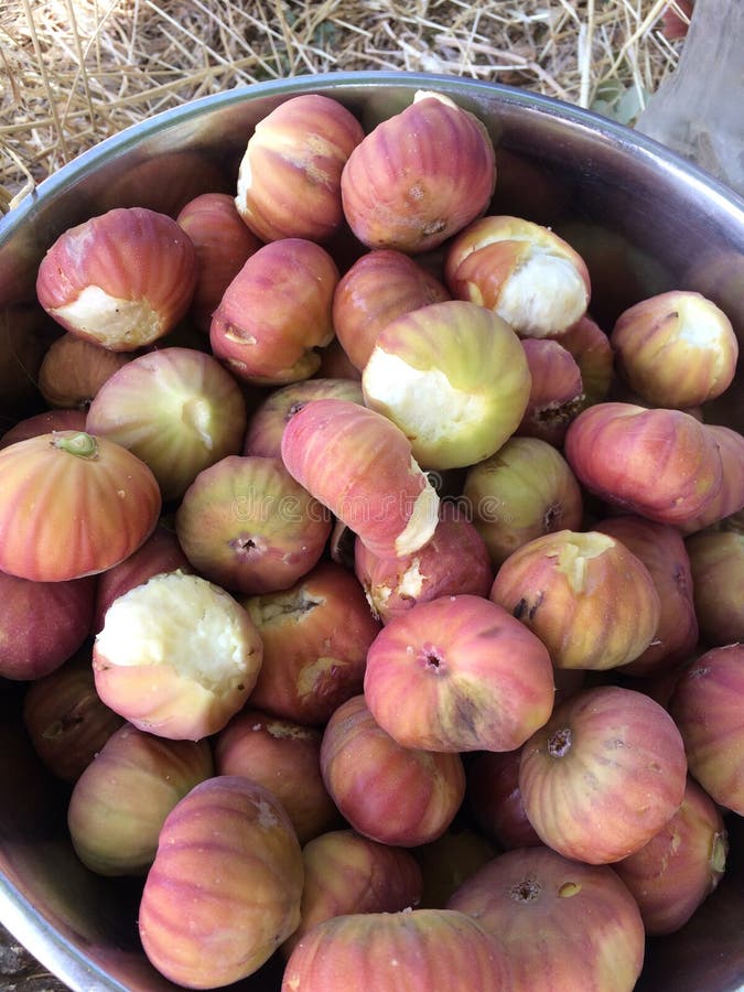 Red fig stock image. Image of produced, edible, fruit - 124122331