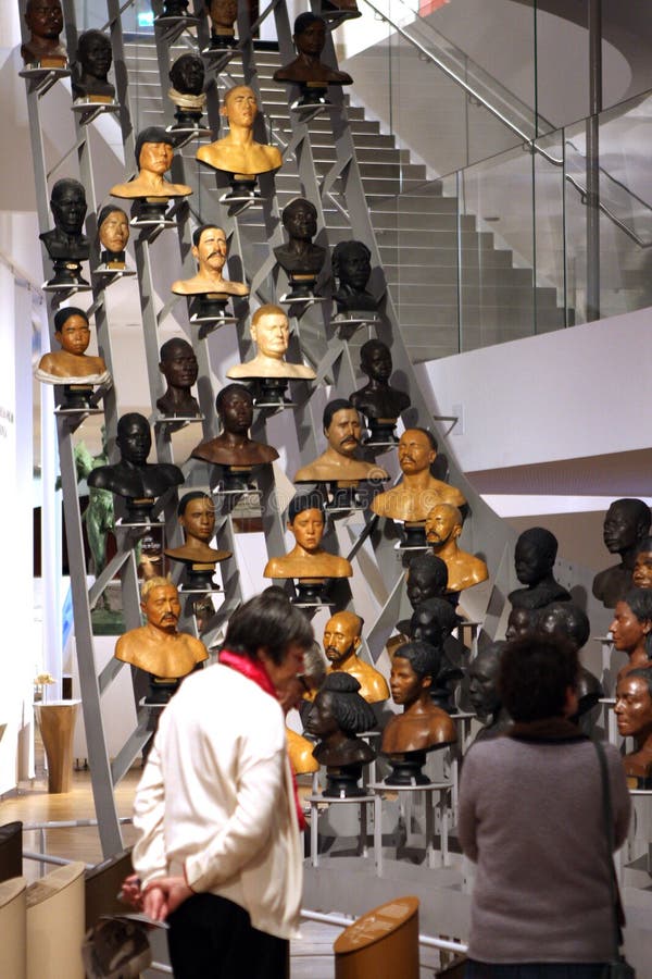 Type of human head editorial image. Image of type, bones - 87703170