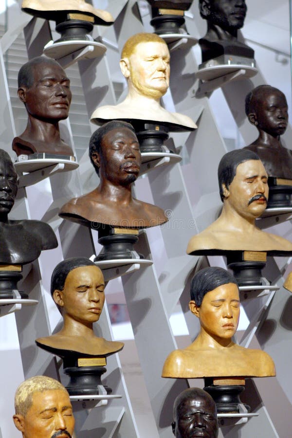 Type of human head editorial stock photo. Image of head - 87703208