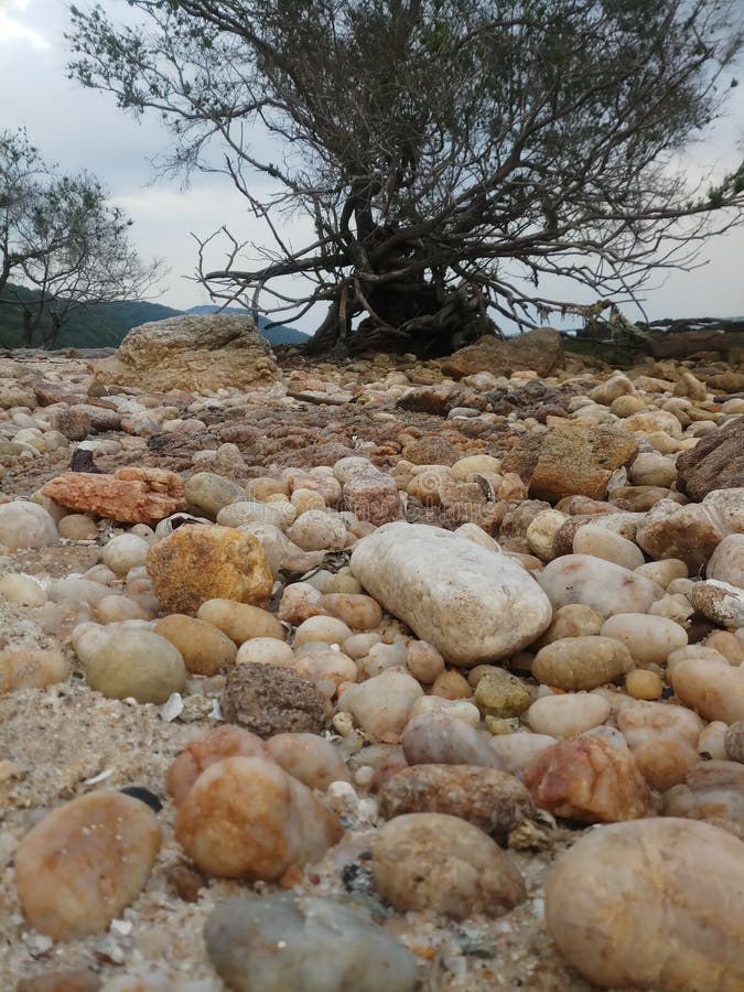 A Specialized Group of Circular Rocks Stock Image - Image of tree, rock ...