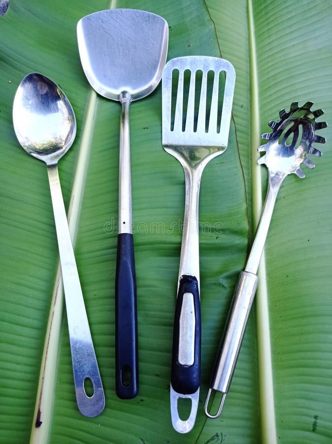 Type of spoons for cooking stock image. Image of plant - 236195837