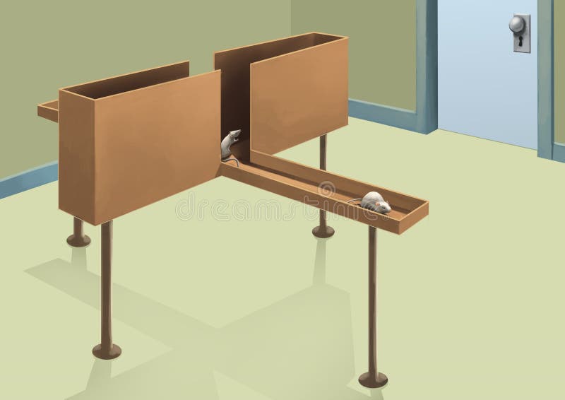 Some Rats in a maze stock illustration. Illustration of construction ...