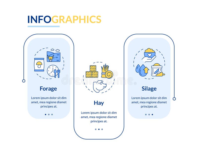 Types of Animal Feed Rectangle Infographic Vector Stock Vector ...