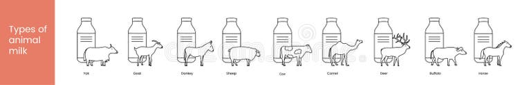 Types of Animals Milk Vector Linear Icon, Illustration of Animals ...