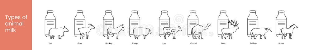 Types of Animals Milk Vector Linear Icon, Illustration of Animals ...
