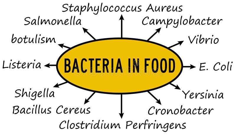 Types of bacteria in food stock illustration. Illustration of listeria ...