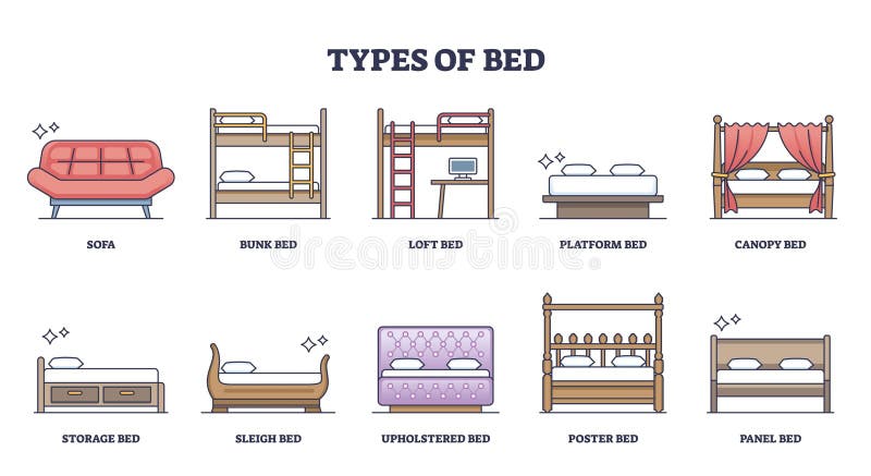 Types of Bed Diagram Showing Various Bed Styles Like Bunk, ... Stock ...