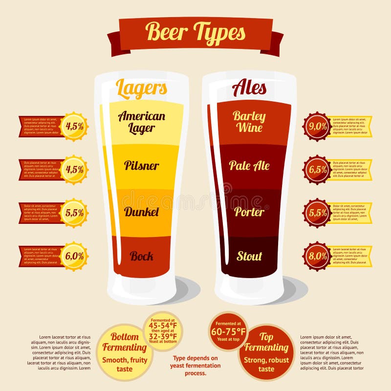 Types of Beer Infographic, with Places for Your Stock Vector ...