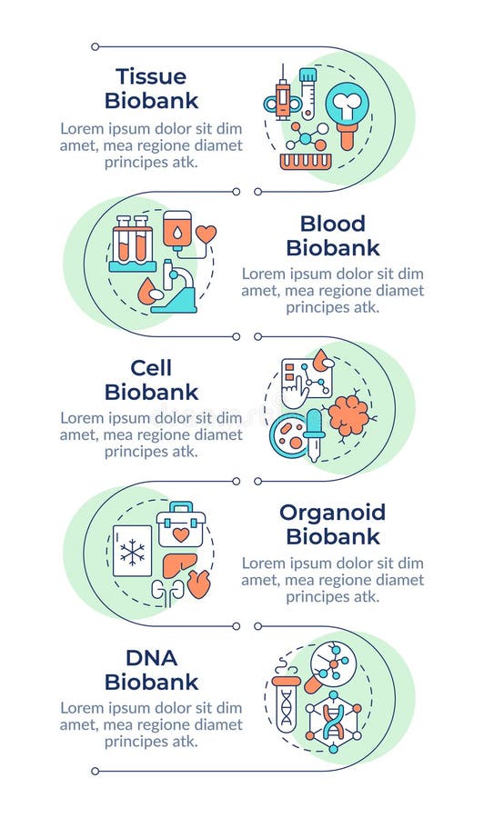 Types of Biobanks Infographic Vertical Sequence Stock Illustration ...