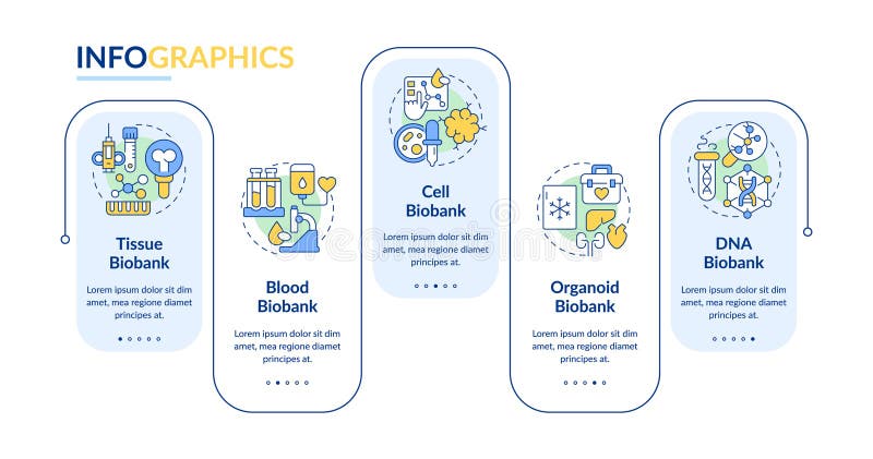 Types of Biobanks Rectangle Infographic Vector Stock Vector ...