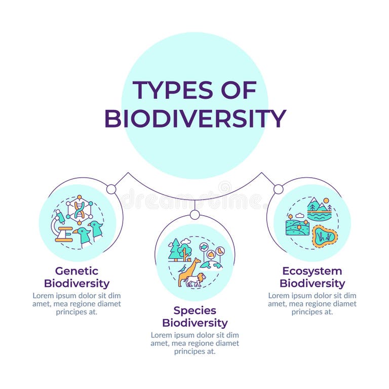 Biodiversity Infographic Stock Illustrations – 1,683 Biodiversity ...