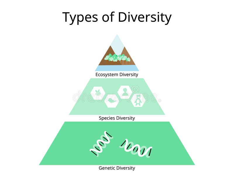 Types of Biodiversity for Ecological Biodiversity, Species, Genetic ... Types of Biodiversity for Ecological Biodiversity, Species, Genetic ...