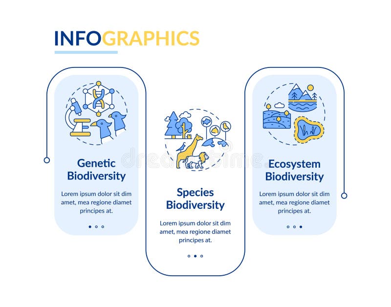Types of Biodiversity Rectangle Infographic Vector Stock Illustration ...