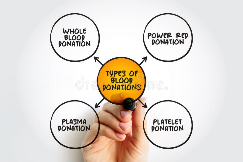Types of Blood Donations Mind Map Text Concept for Presentations and ...