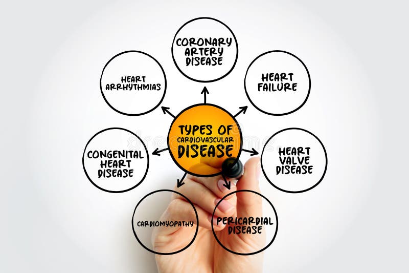 Types of Cardiovascular Disease - Group of Disorders of the Heart and ...