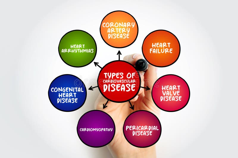 Types of Cardiovascular Disease - Group of Disorders of the Heart and ...