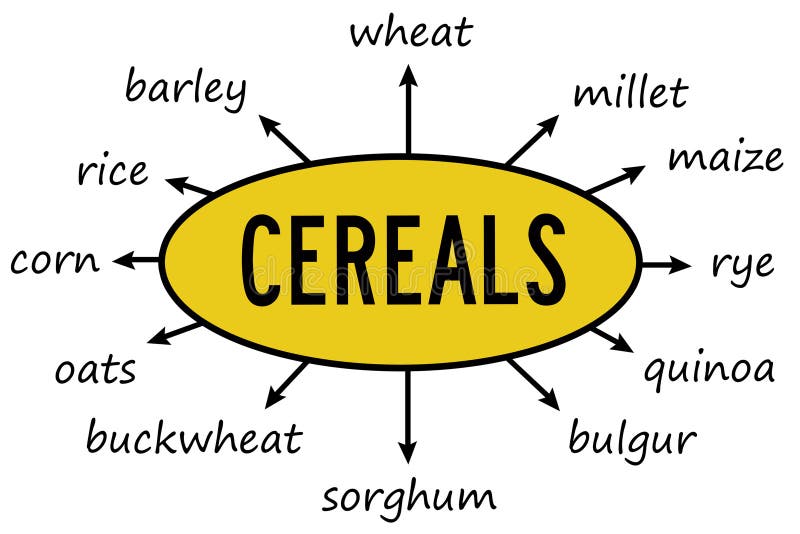 Types of cereals stock illustration. Illustration of buckwheat - 388580870