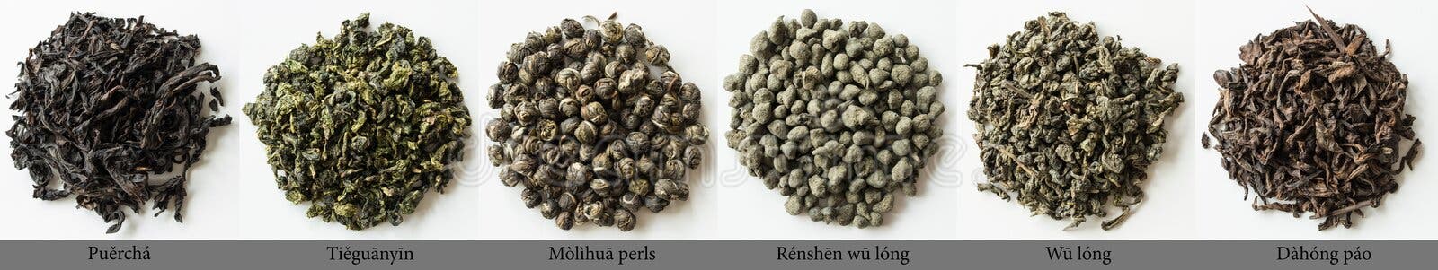 Chinese character for tea stock vector. Illustration of harmony - 38557528