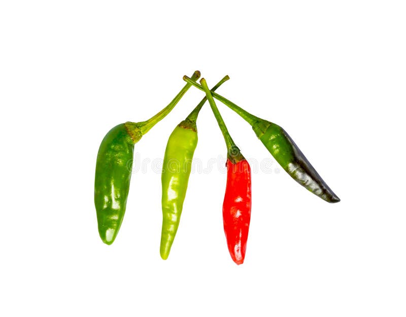 4 Types Color Chili Peppers Stock Photo - Image of paprika, eating ...