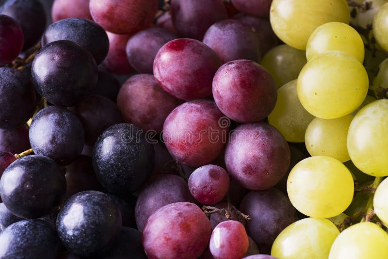 Types and Colors of Table Grapes Stock Image - Image of table, grapes ...