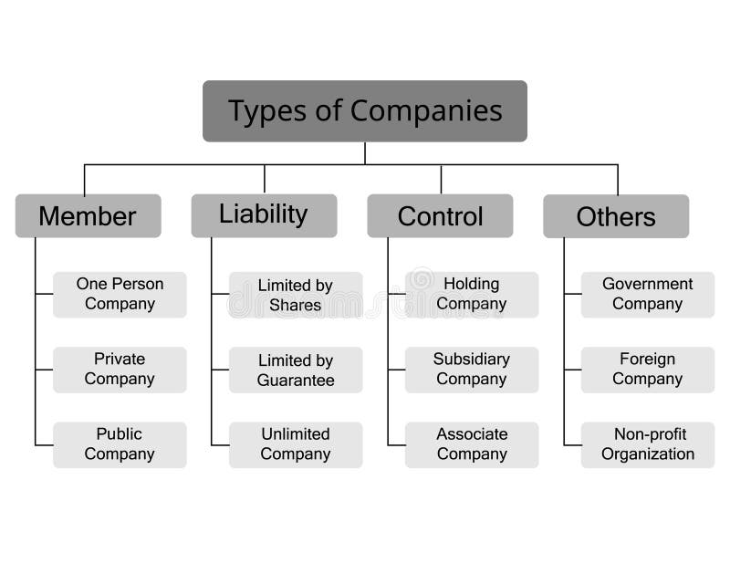 Types of Companies or Business Structures Divided by Members, Control ...