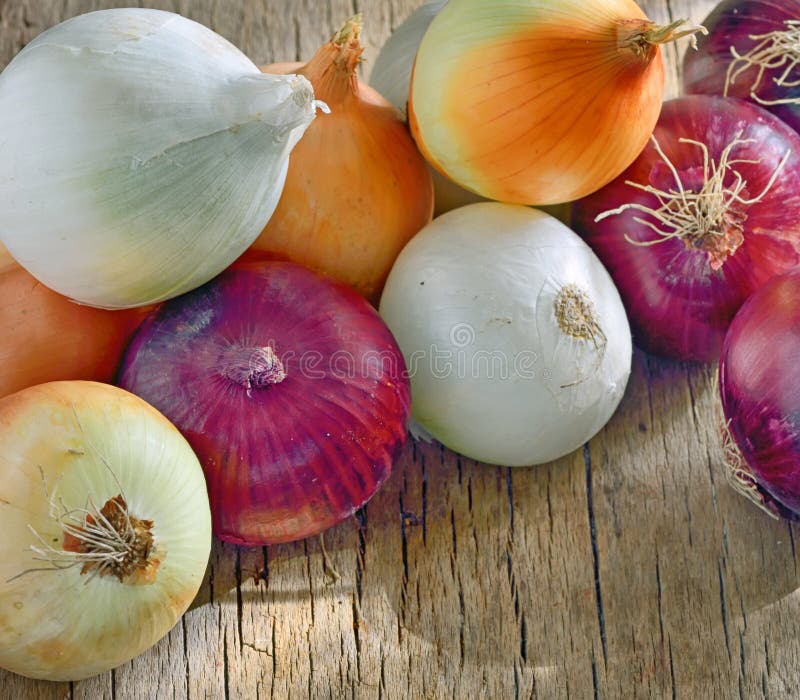 Types d'oignons photo stock. Image du ingrédient, nourriture - 35802182