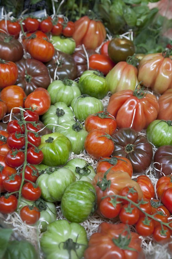 Types de tomate image stock. Image of fond, cuisine, nourriture - 19449431