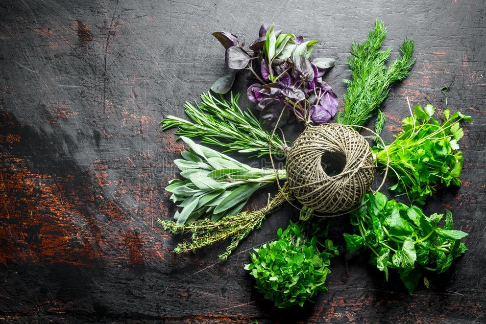 Types of Different Herbs with Old Twine Stock Photo - Image of sage ...