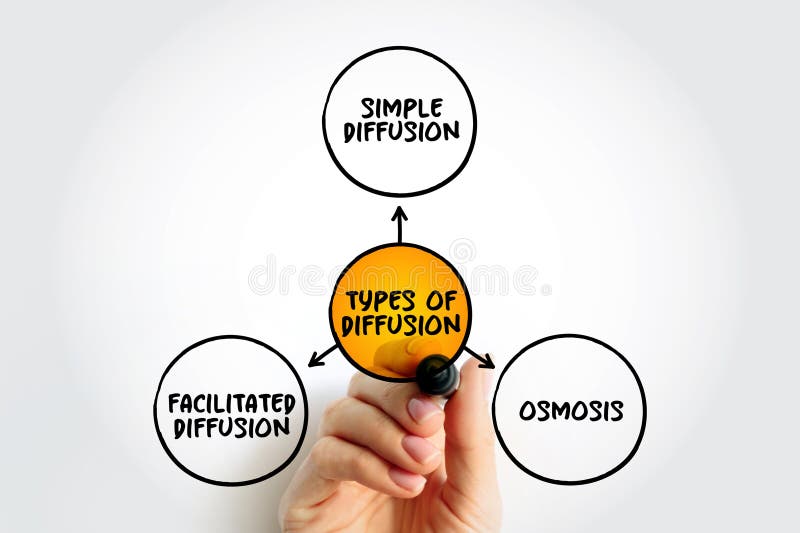 Types of Diffusion is the Net Movement of Anything Generally from a ...