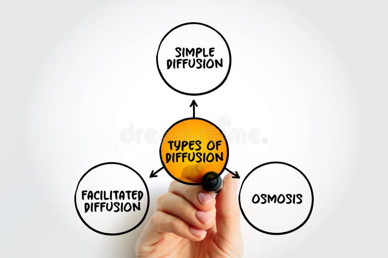 Types of Diffusion is the Net Movement of Anything Generally from a ...