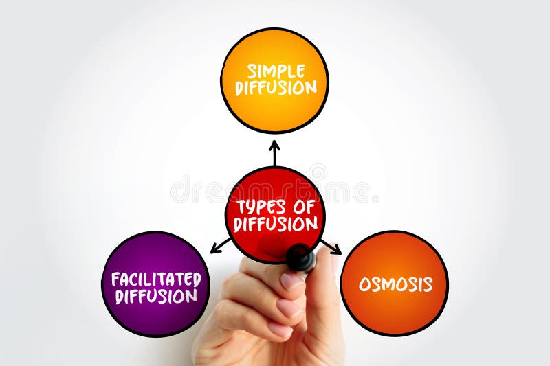 135 Membrane Diffusion Stock Photos - Free & Royalty-Free Stock Photos ...