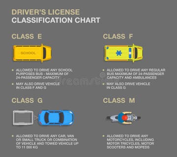 Types of Driving Licences and Descriptions. Driver`s License ...