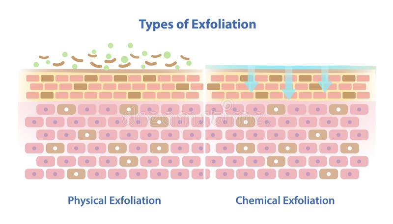 Exfoliation Tools Stock Illustrations – 295 Exfoliation Tools Stock ...