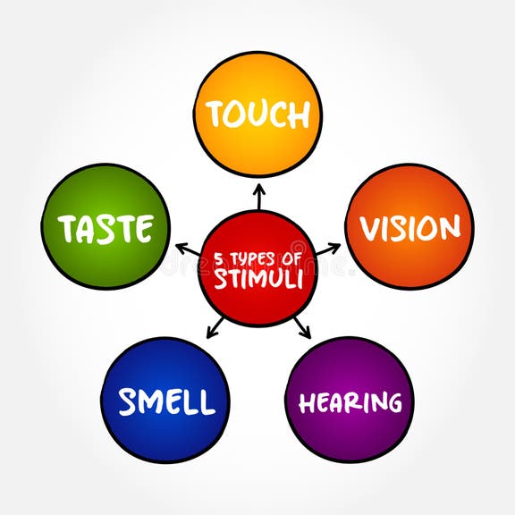 The 5 Types of External Stimuli - Divided into Our Senses: Touch ...
