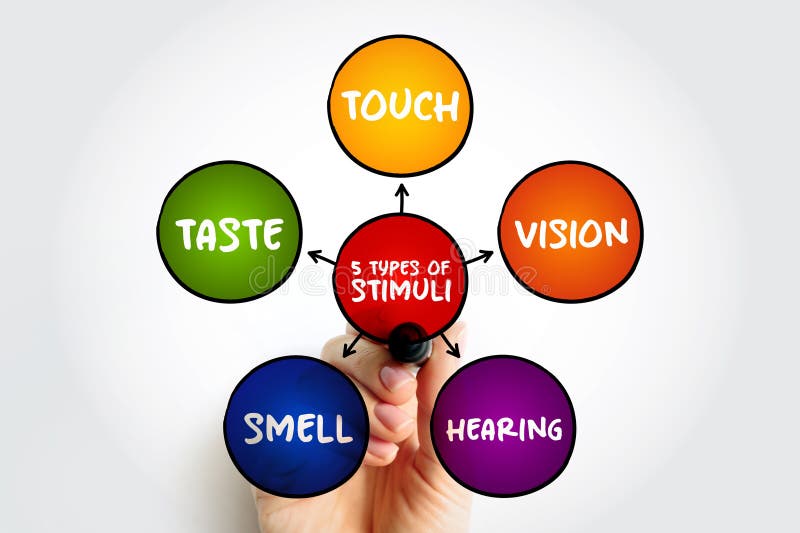 The 5 Types of External Stimuli - Divided into Our Senses: Touch ...