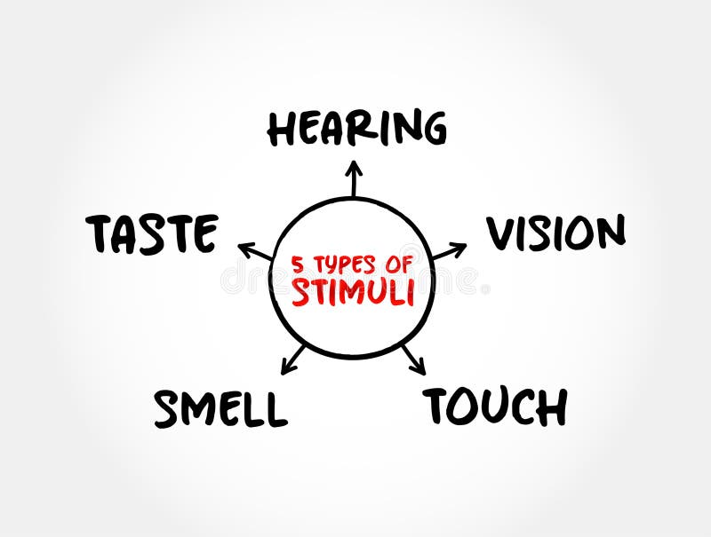 Types Sensory Receptors Stock Illustrations – 26 Types Sensory ...