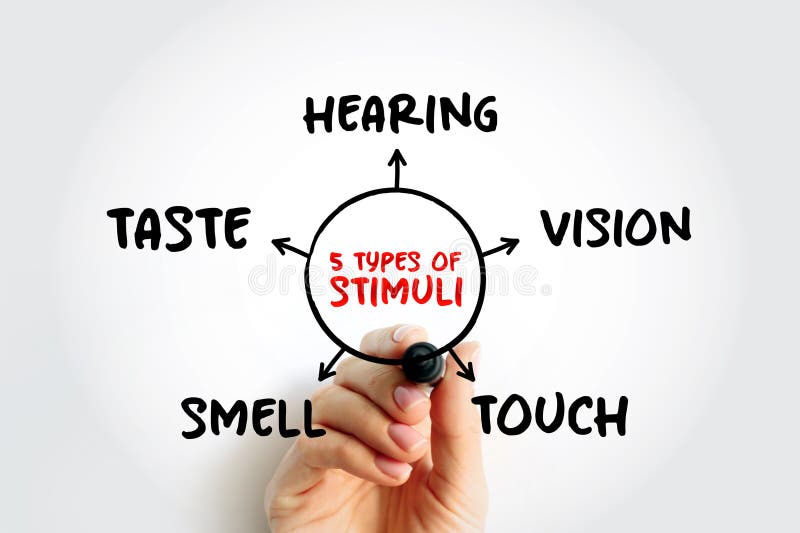 The 5 Types of External Stimuli - Divided into Our Senses: Touch ...