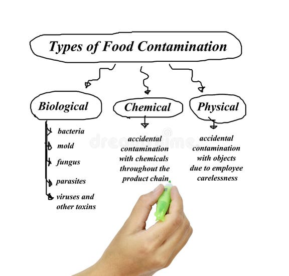 Types of Food Contamination Image for Use in Manufacturing Stock Photo ...