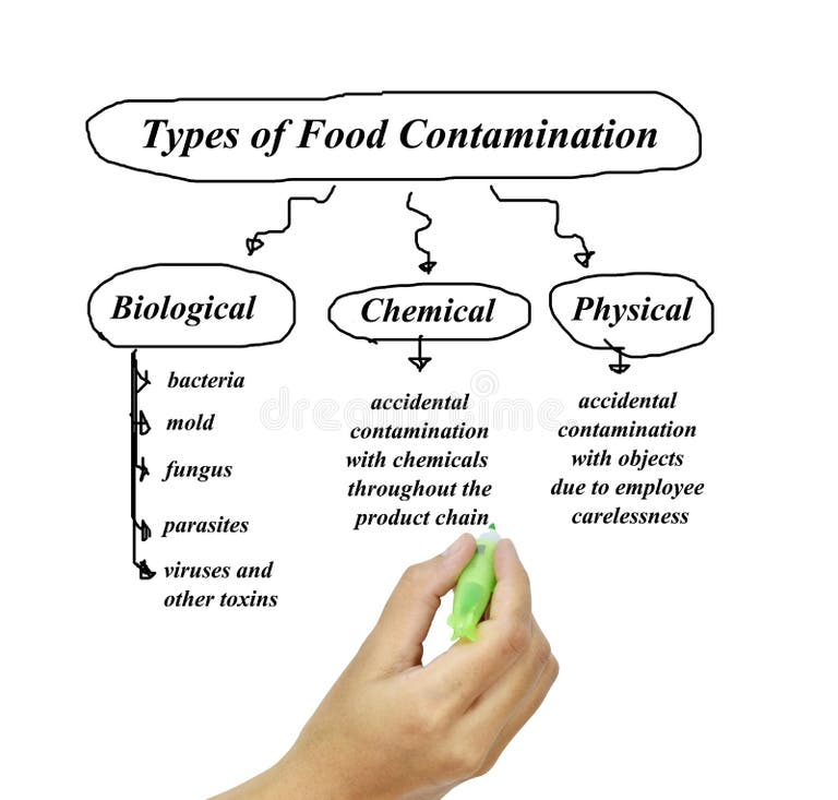 Types of Food Contamination Image for Use in Manufacturing Stock Photo ...