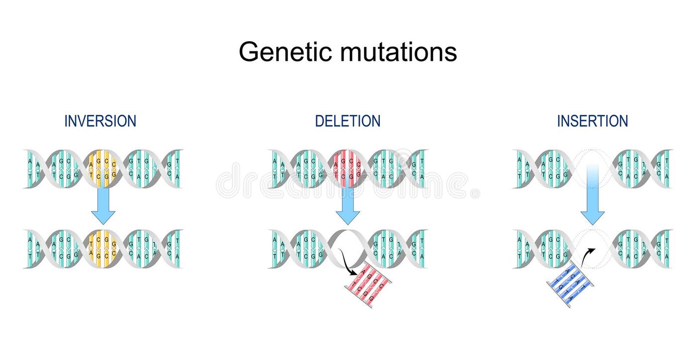 Gene Mutation Stock Illustrations – 6,028 Gene Mutation Stock ...