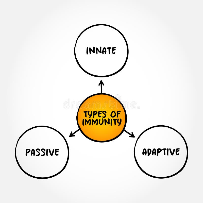 Types of Immunity Mind Map Text Concept for Presentations and Reports ...