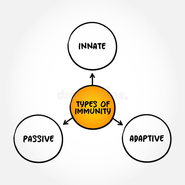 Types of Immunity Mind Map Text Concept for Presentations and Reports ...