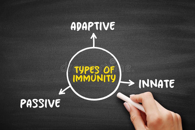 Types of Immunity Mind Map Text Concept for Presentations and Reports ...