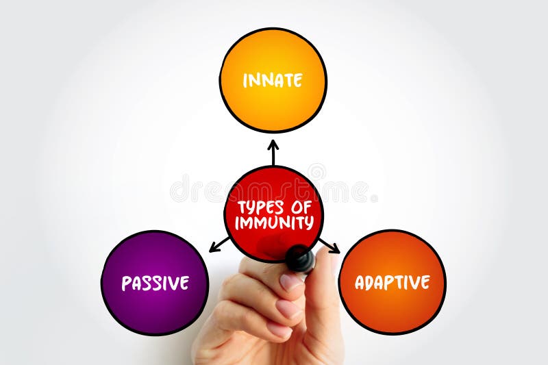 Types of Immunity Mind Map Text Concept for Presentations and Reports ...