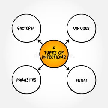 4 Types of Infections Mind Map Text Concept for Presentations and ...