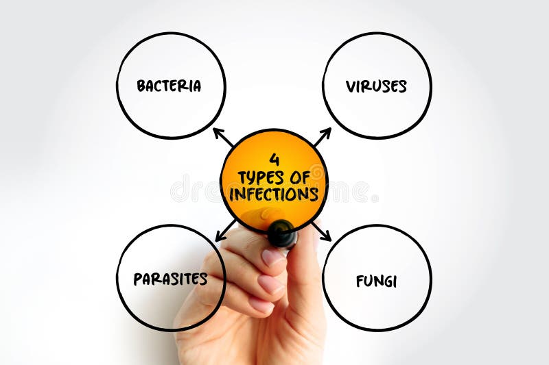4 Types of Infections Mind Map Text Concept for Presentations and ...