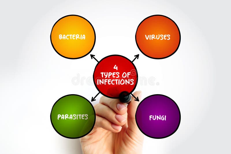4 Types of Infections Mind Map Text Concept for Presentations and ... 4 Types of Infections Mind Map Text Concept for Presentations and ...