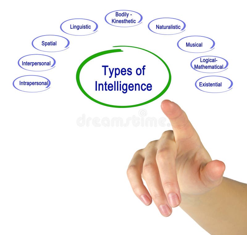 Types of Intelligence stock image. Image of interpersonal - 120282065