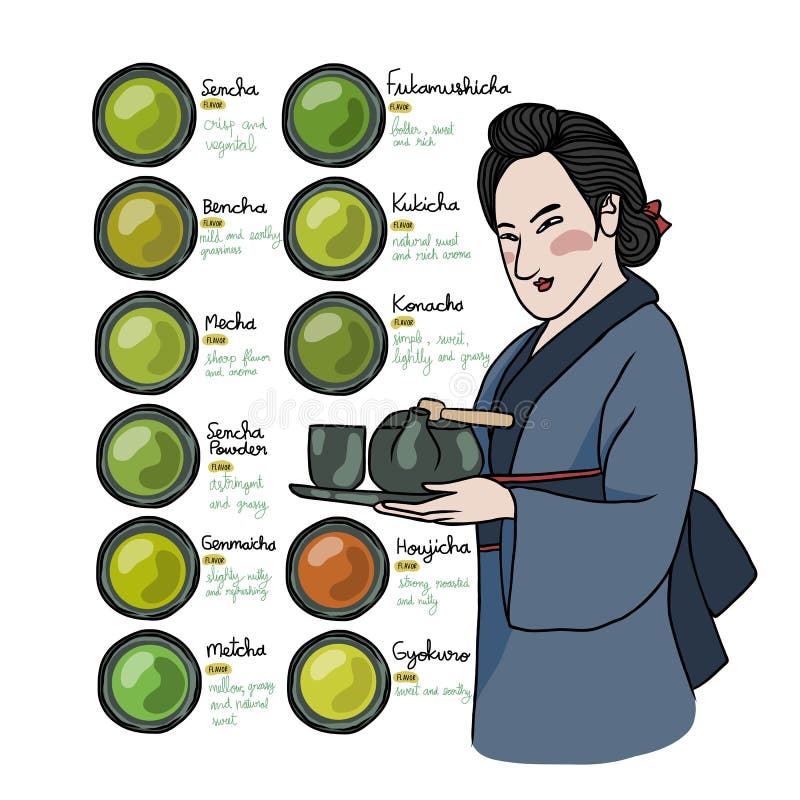 Types of Japanese Tea Info Graphic Illustration Stock Vector ...