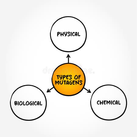 Types of Mutagen (anything that Causes a Mutation, a Change in the DNA ...